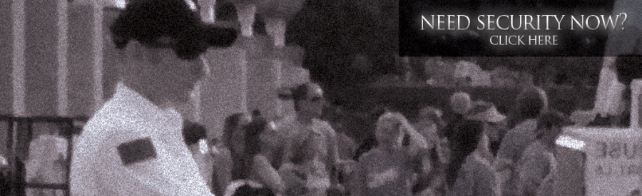 Sentinel Security Group, LLC